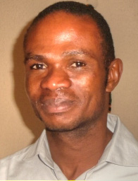 Donamon Castle, Roscommon, Ireland – SVD IBP