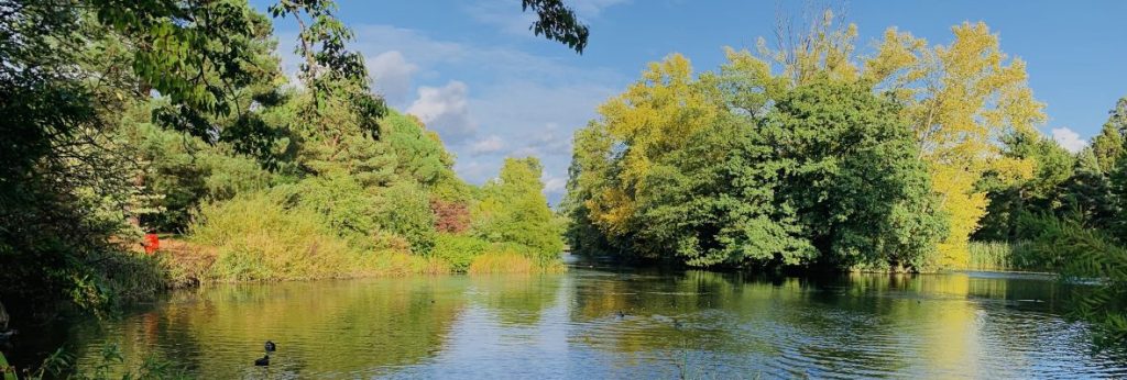 Donamon Castle, Roscommon, Ireland – SVD IBP