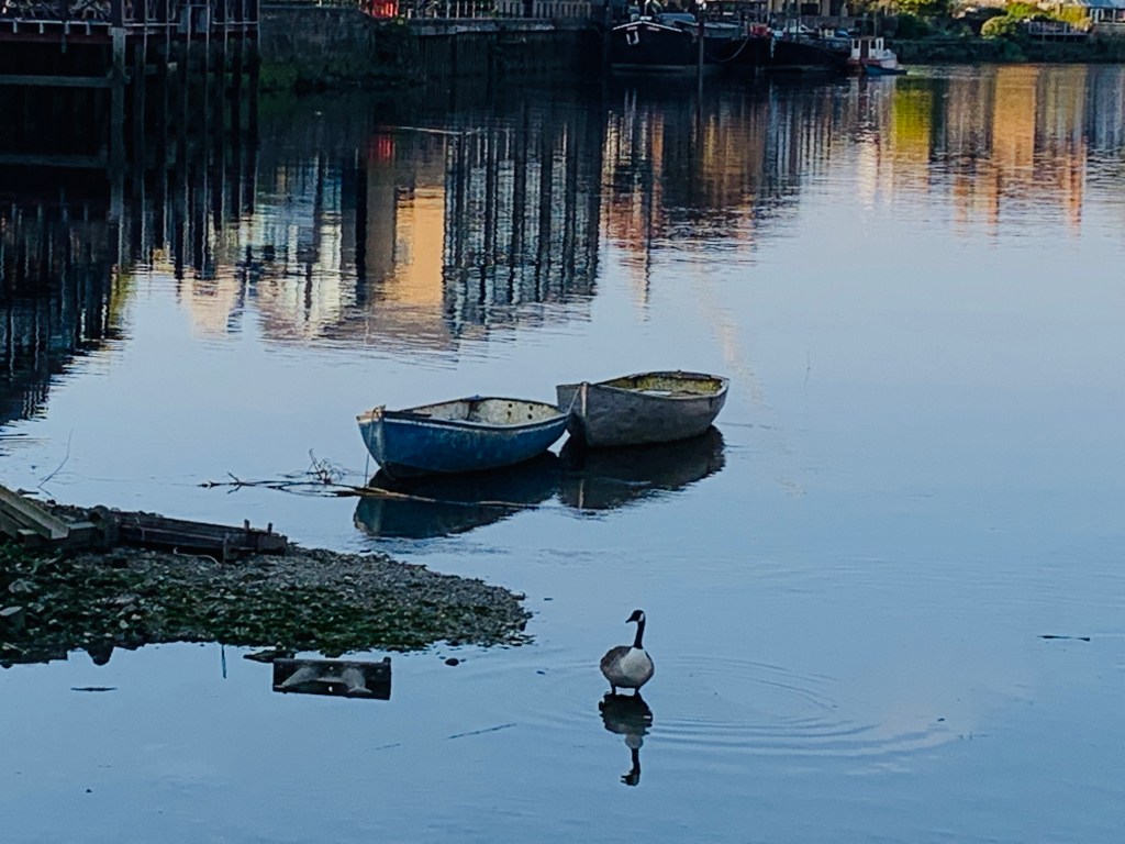 Donamon Castle, Roscommon, Ireland – SVD IBP
