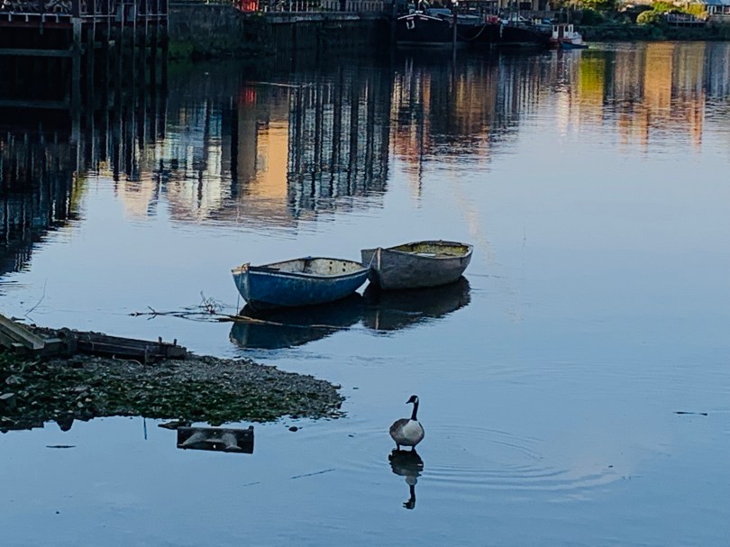 Donamon Castle, Roscommon, Ireland – SVD IBP